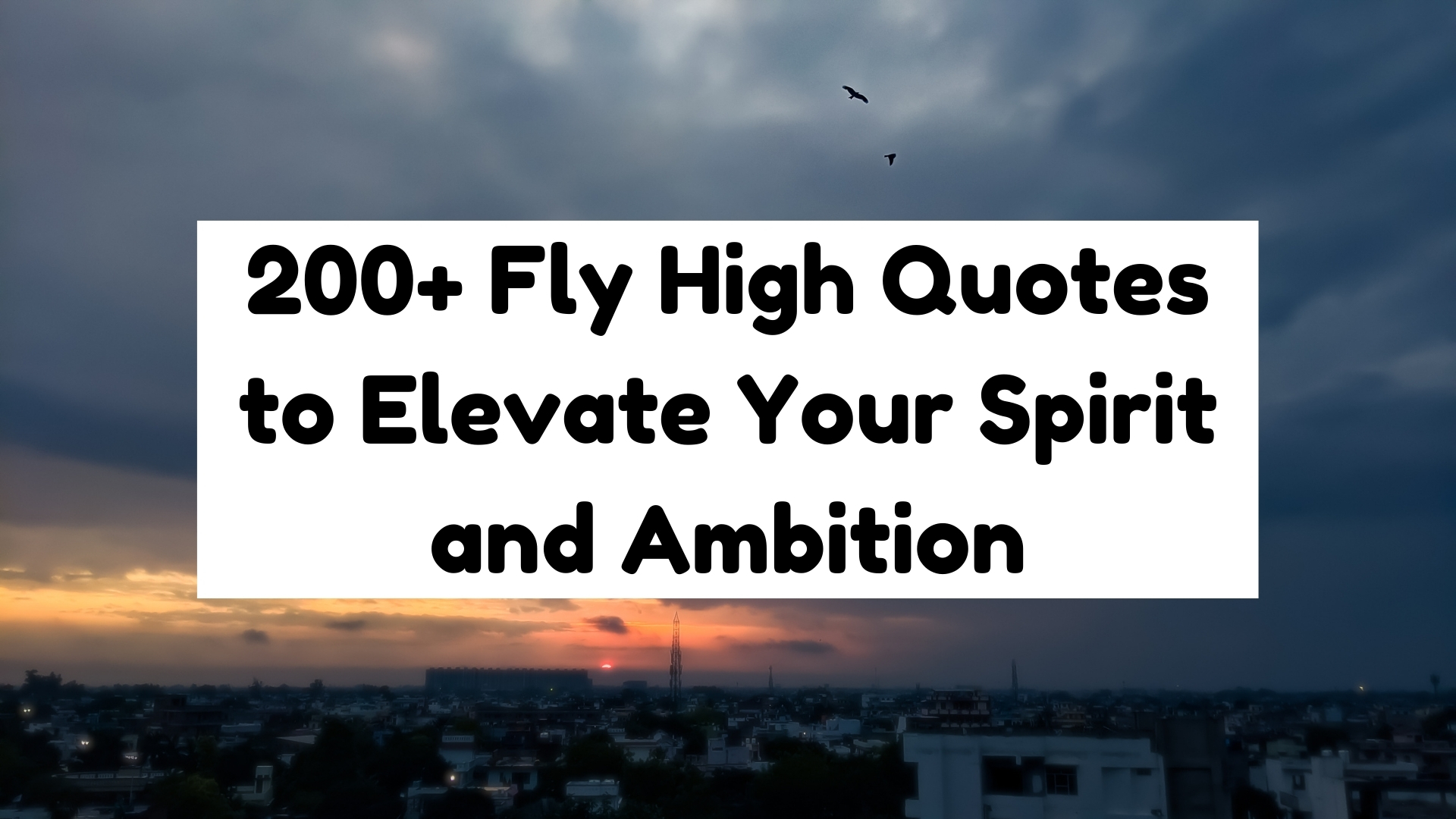 200+ Fly High Quotes to Elevate Your Spirit and Ambition – Whisker Planet