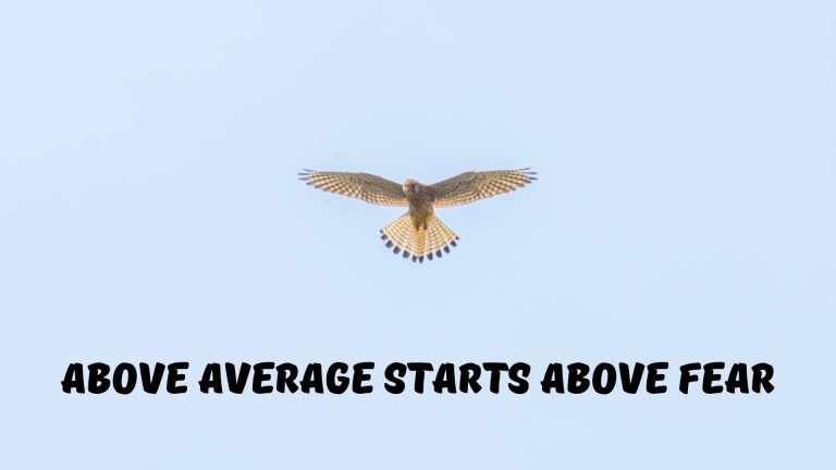 200+ Fly High Quotes to Elevate Your Spirit and Ambition – Whisker Planet