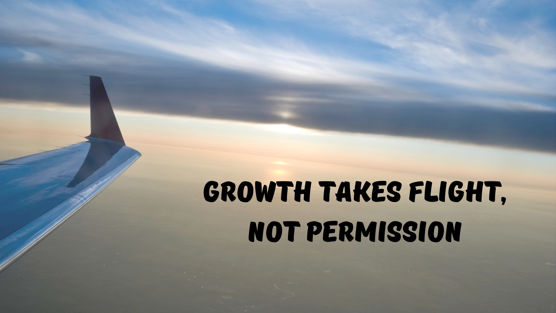 200+ Fly High Quotes to Elevate Your Spirit and Ambition – Whisker Planet