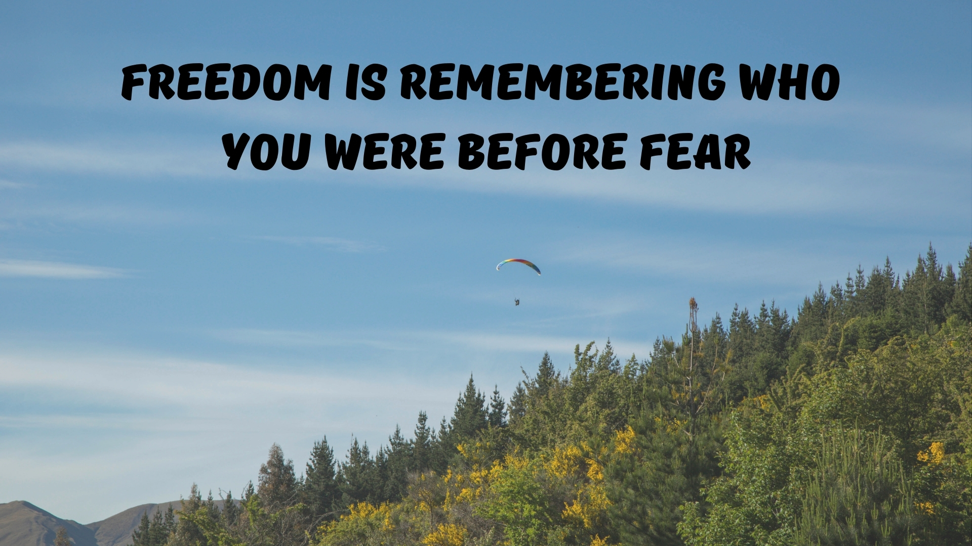 200+ Fly High Quotes to Elevate Your Spirit and Ambition – Whisker Planet