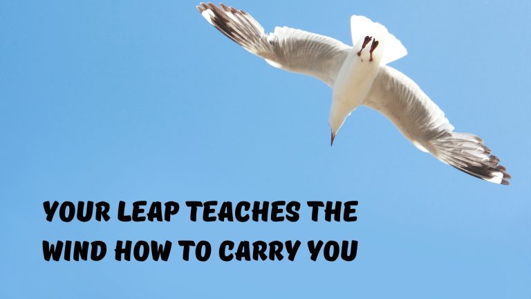 200+ Fly High Quotes to Elevate Your Spirit and Ambition – Whisker Planet