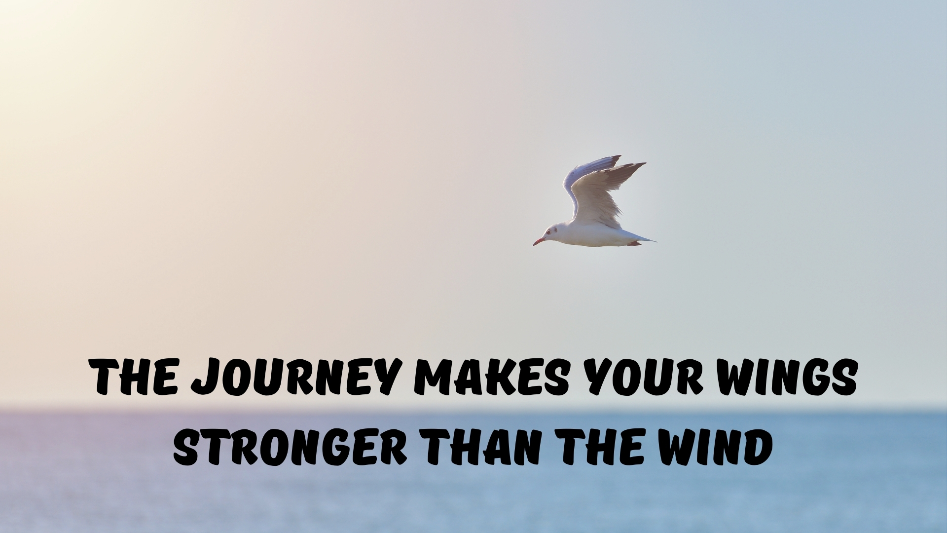 200+ Fly High Quotes to Elevate Your Spirit and Ambition – Whisker Planet