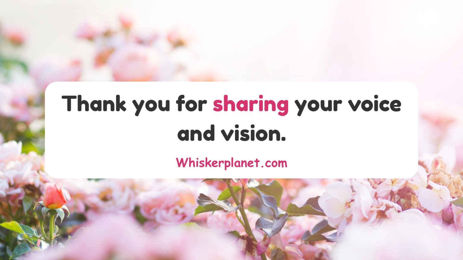 180+ Heartfelt Thank You Messages to Everyone Who Made My Party Special ...