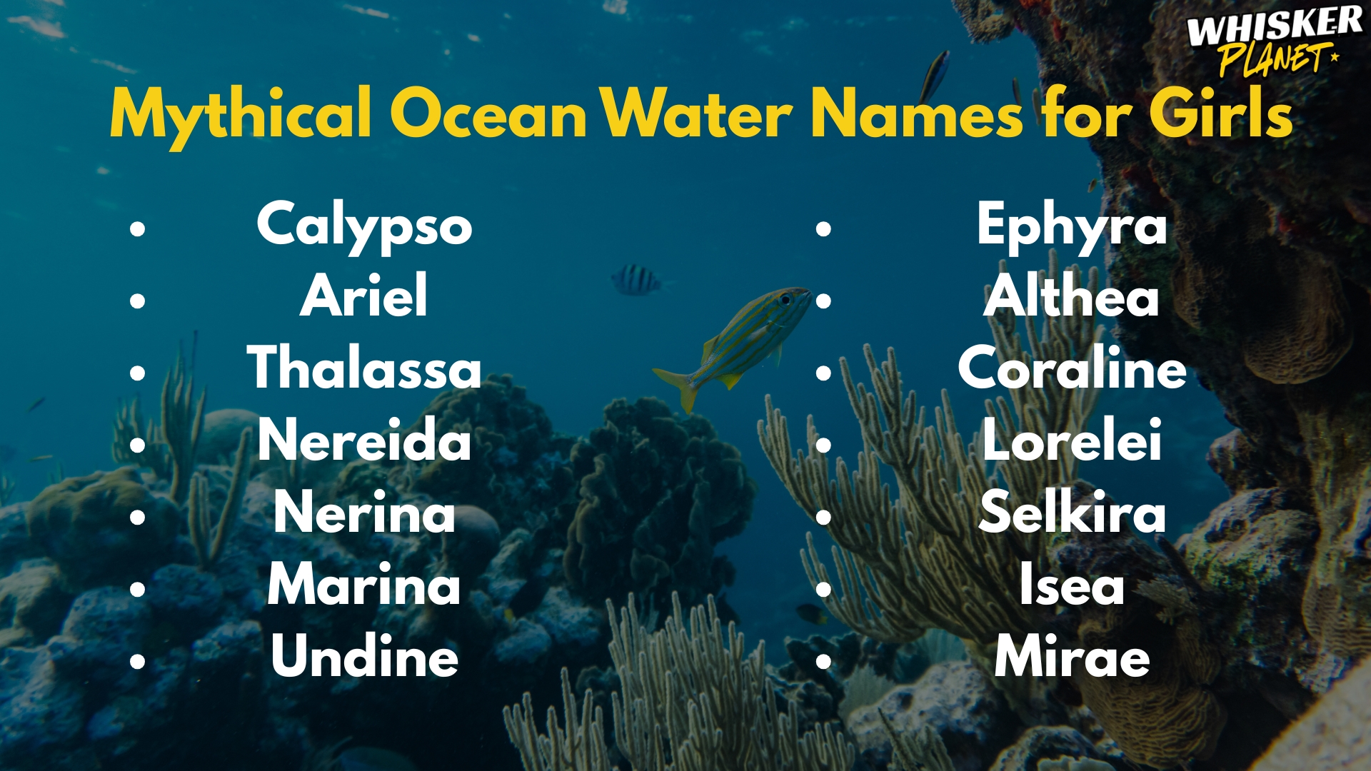 200+ Mythical Ocean Names: Enchanting Names Inspired by the Sea and ...