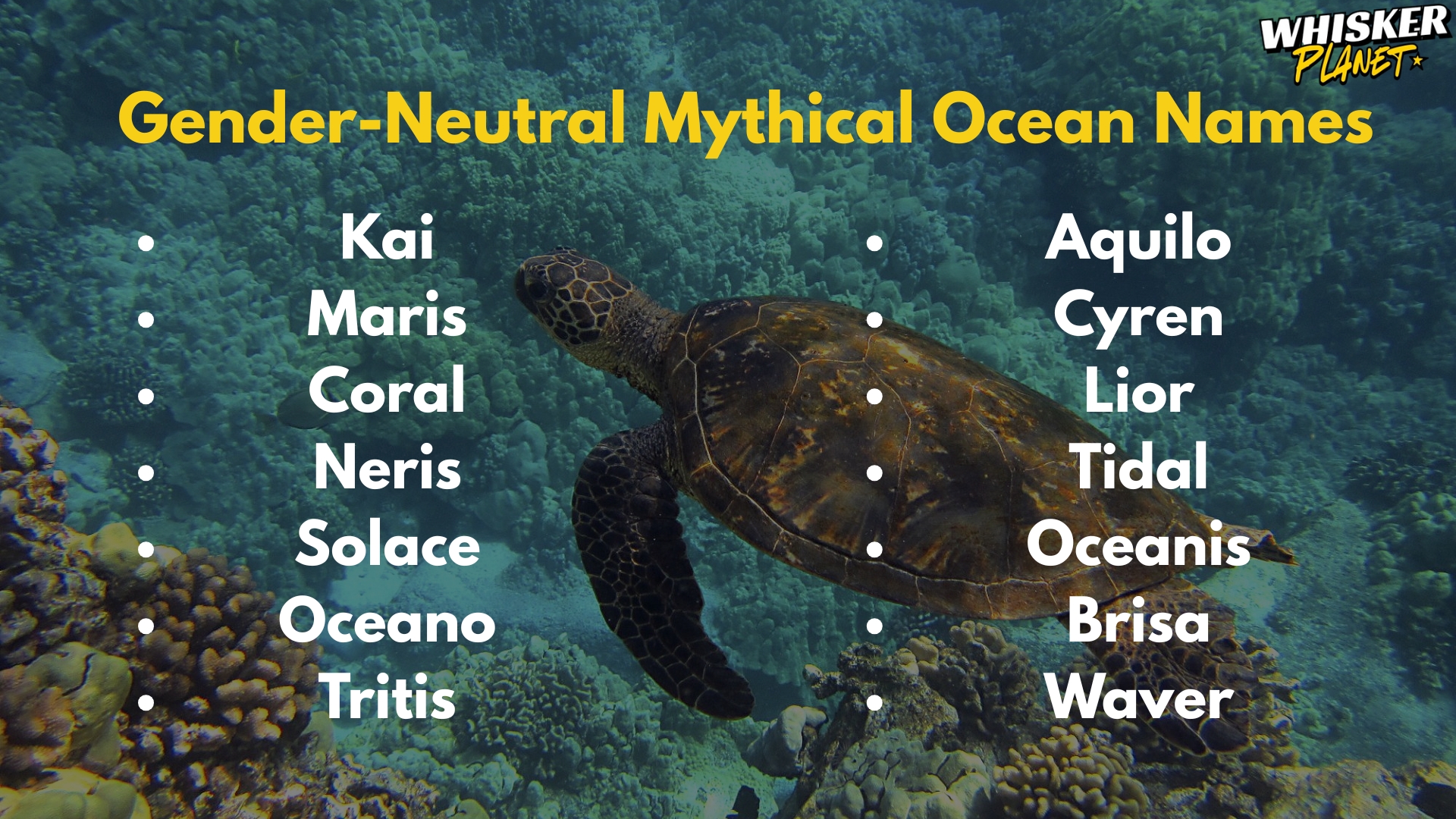 200+ Mythical Ocean Names: Enchanting Names Inspired by the Sea and ...